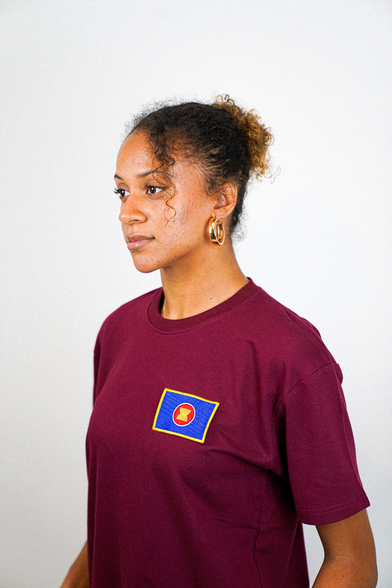 ASEAN (Association des Nations d'Asie du Sud-Est) • T-shirt drapeau ...