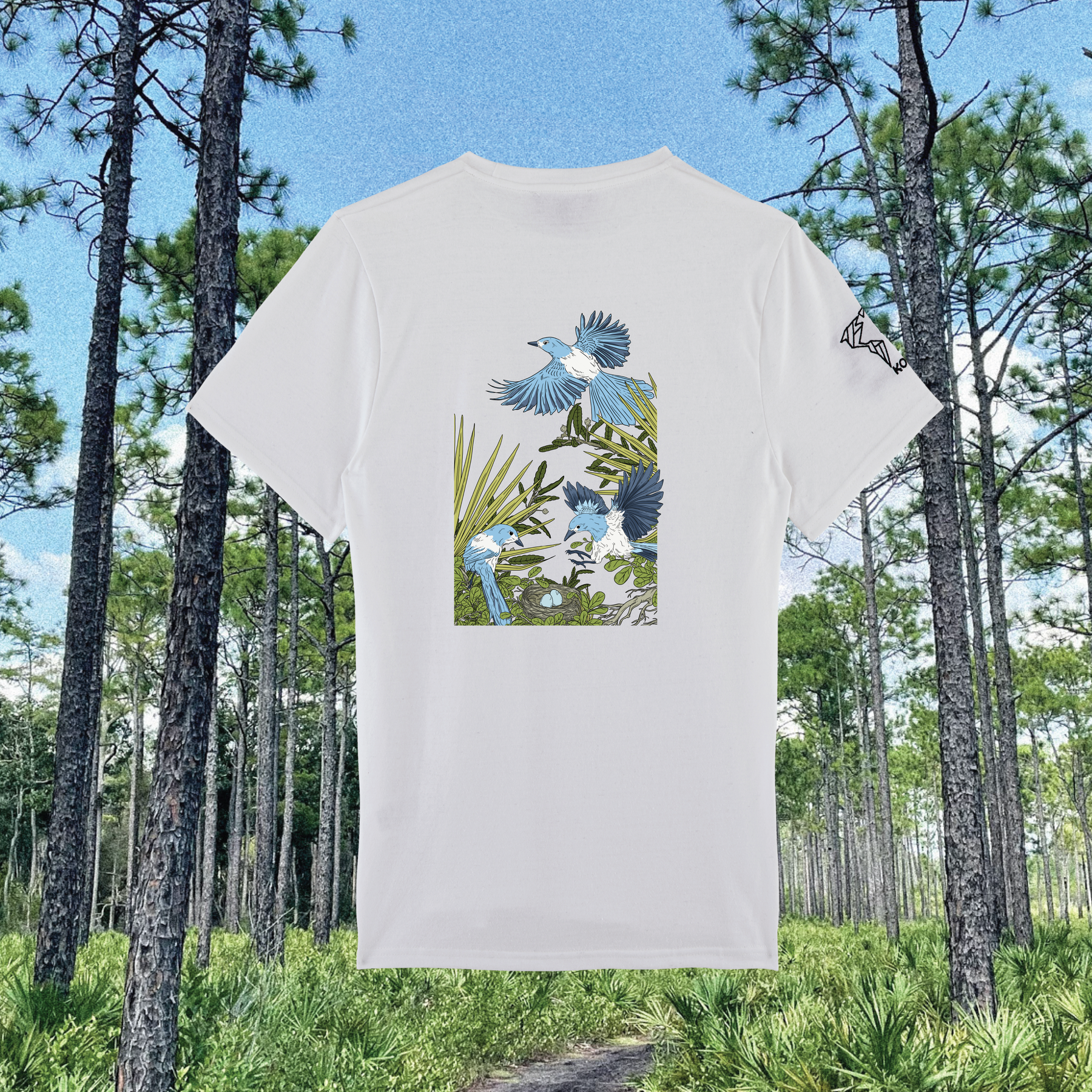 Parrot Fish • Wonders – Komorebi