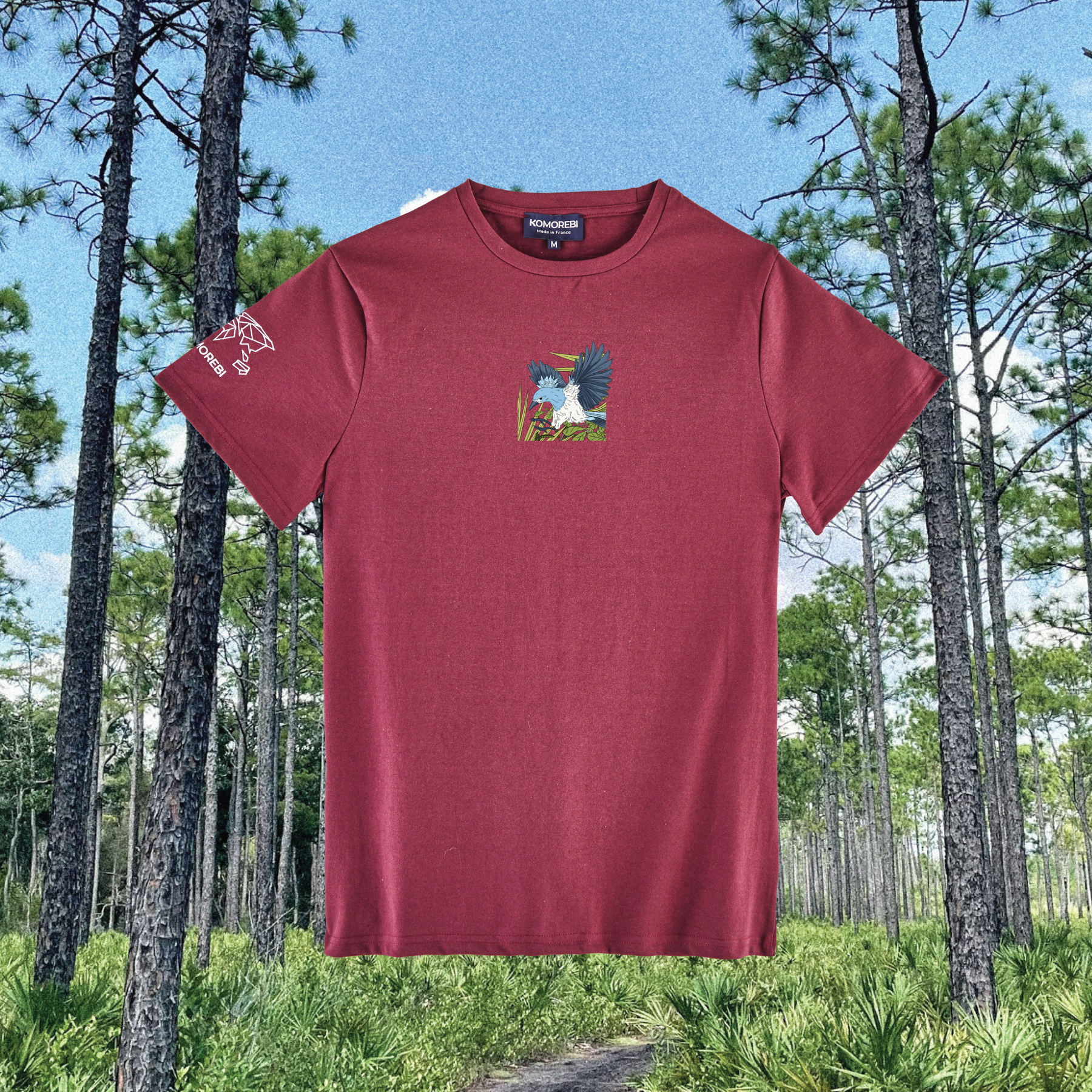 Parrot Fish • Wonders – Komorebi